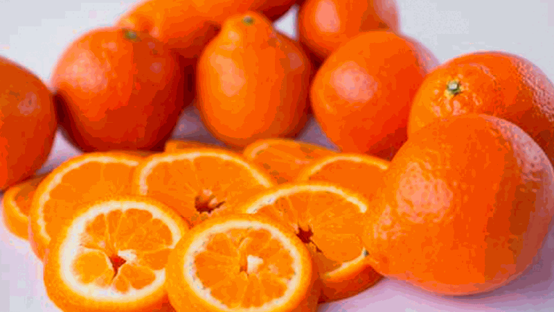 Tangelo Mineola | Fruit At Work