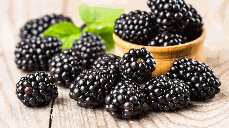 Braambes | Fruit At Work