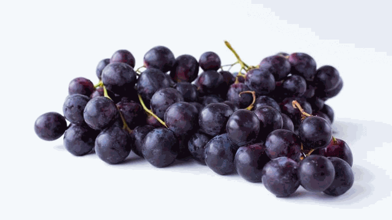 Druif | Fruit At Work