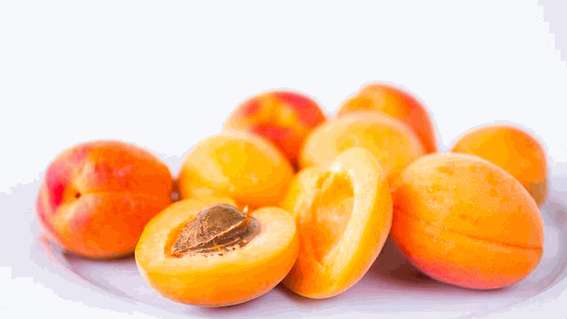 Abrikoos | Fruit At Work