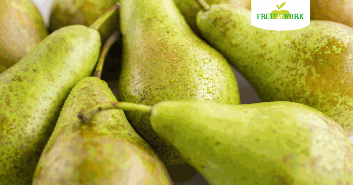 Hard Fruit | Fruit At Work