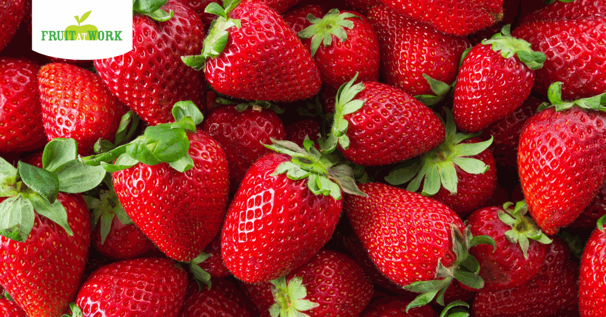 Printemps | Fruit At Work